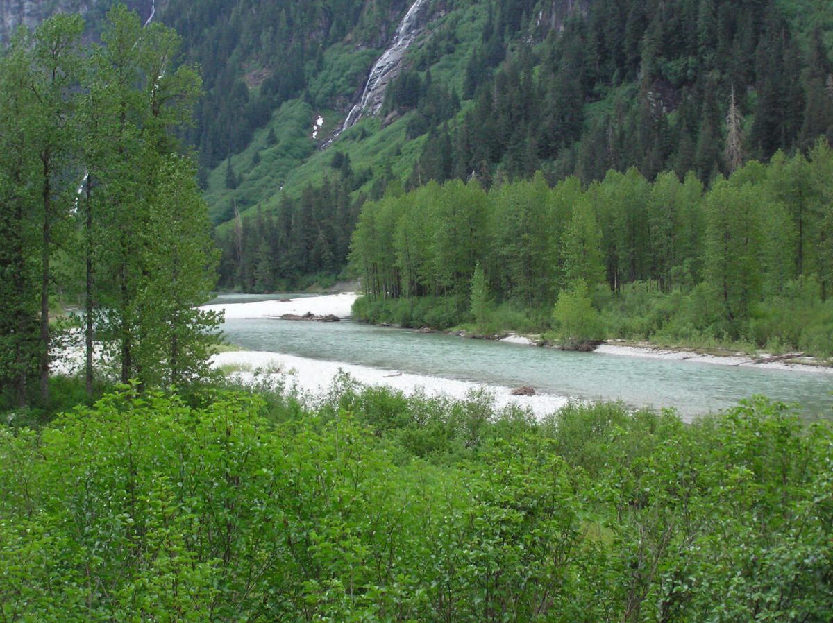 Rivers - Little Wolf Resort